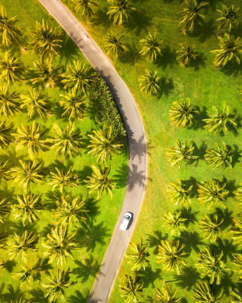 New Directors elected to TTNQ - Tropical North Queensland