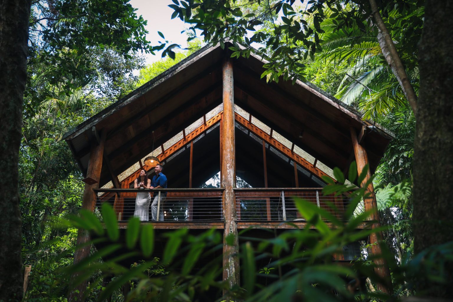 December 2021 CEO Update - Tropical North Queensland