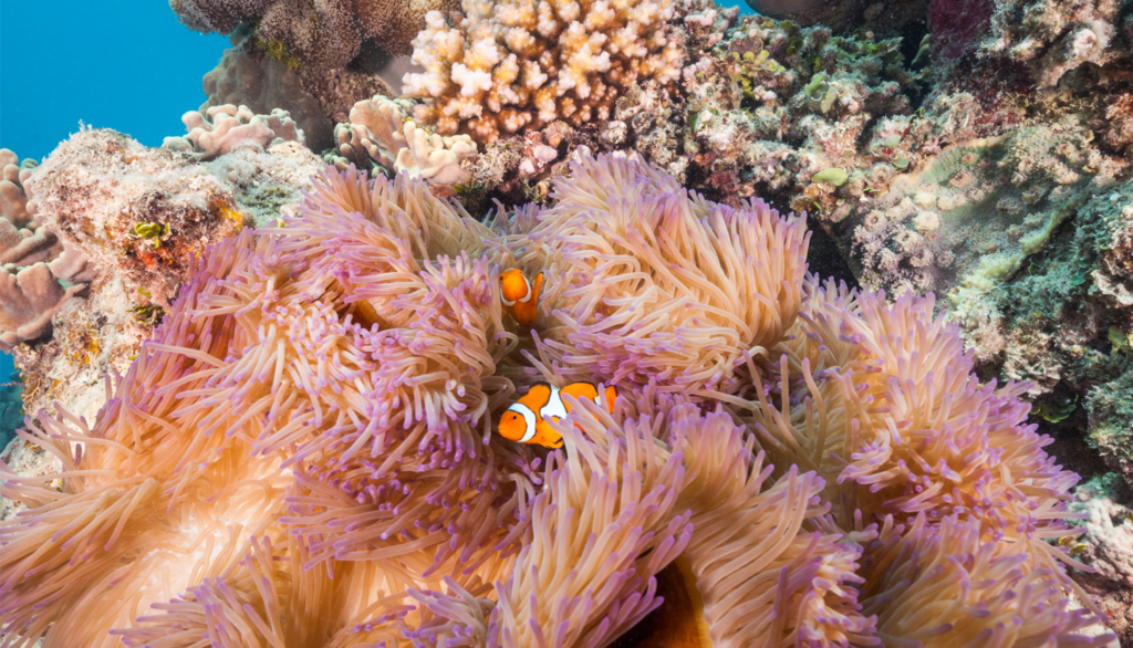 Record $4 billion visitor spend for Tropical North Queensland ...