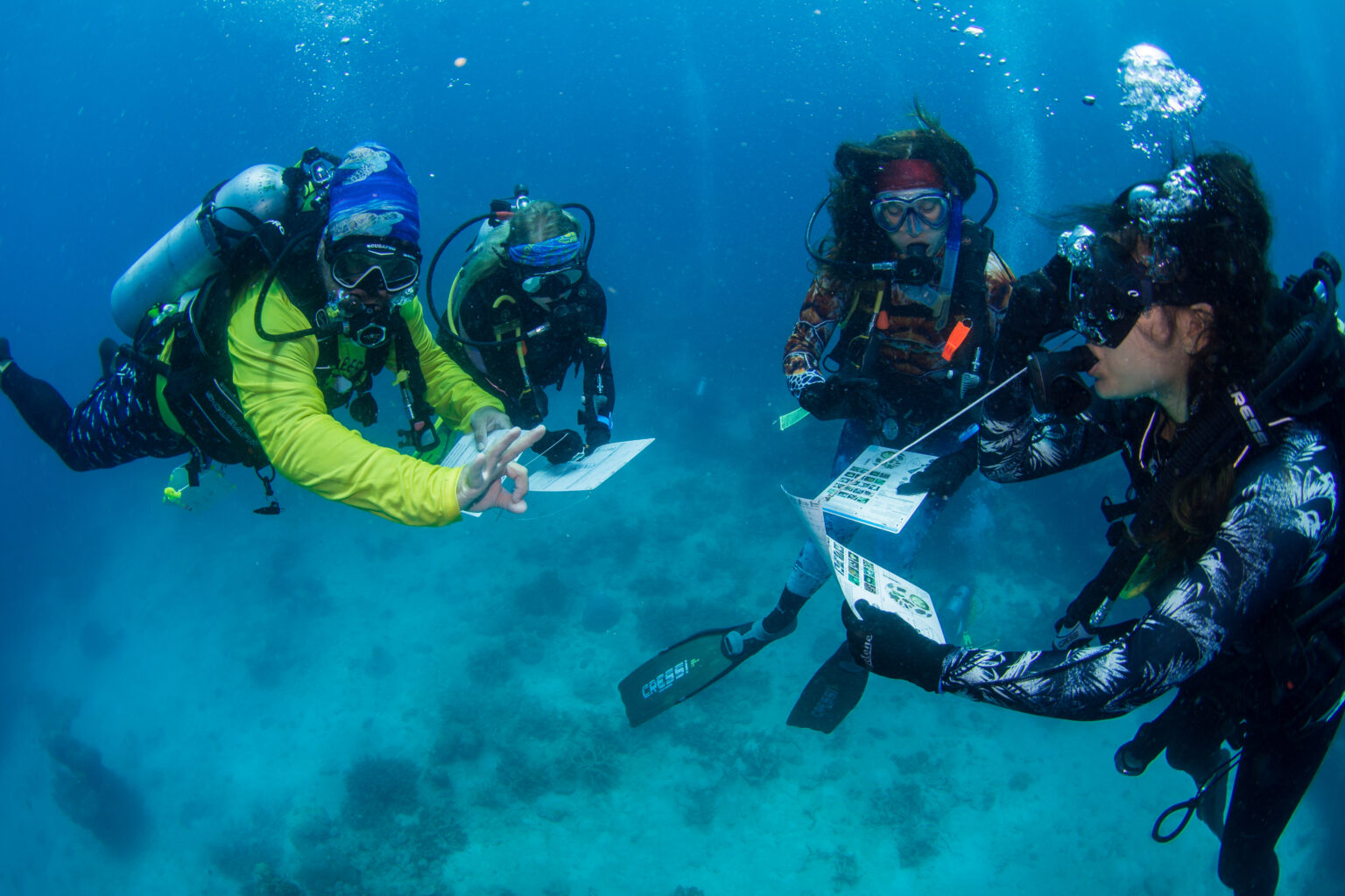 Great Barrier Reef conservation tied to tourism - Tropical North Queensland