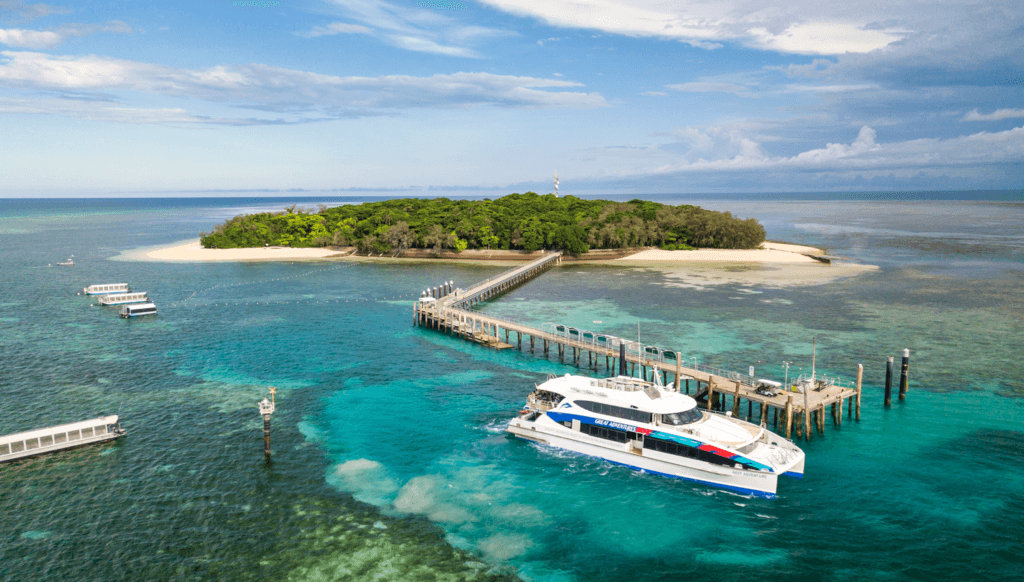 Tropical North Queensland tourism helps conservation - Tropical North ...